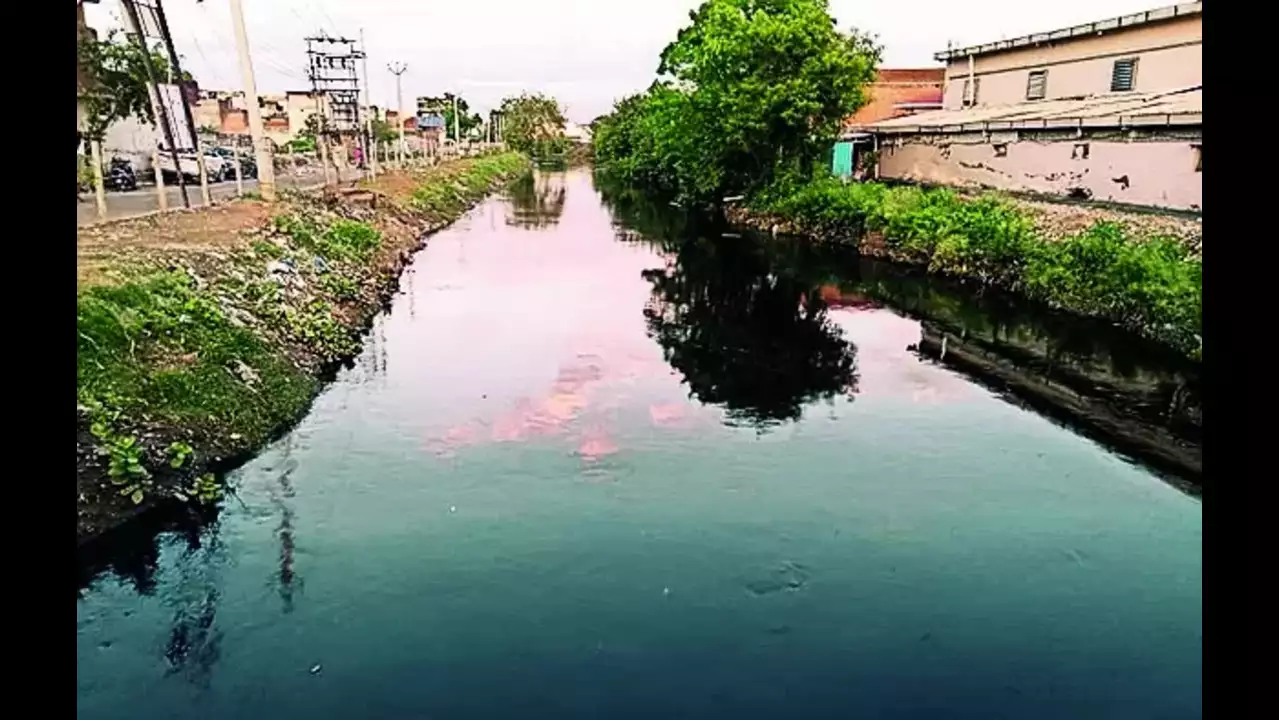 Ludhiana: 7 dairy unit owners booked for ‘polluting’ drain - AgriMoon