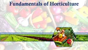 Fundamentals of Horticulture PDF BAU Notes Free Download - AgriMoon