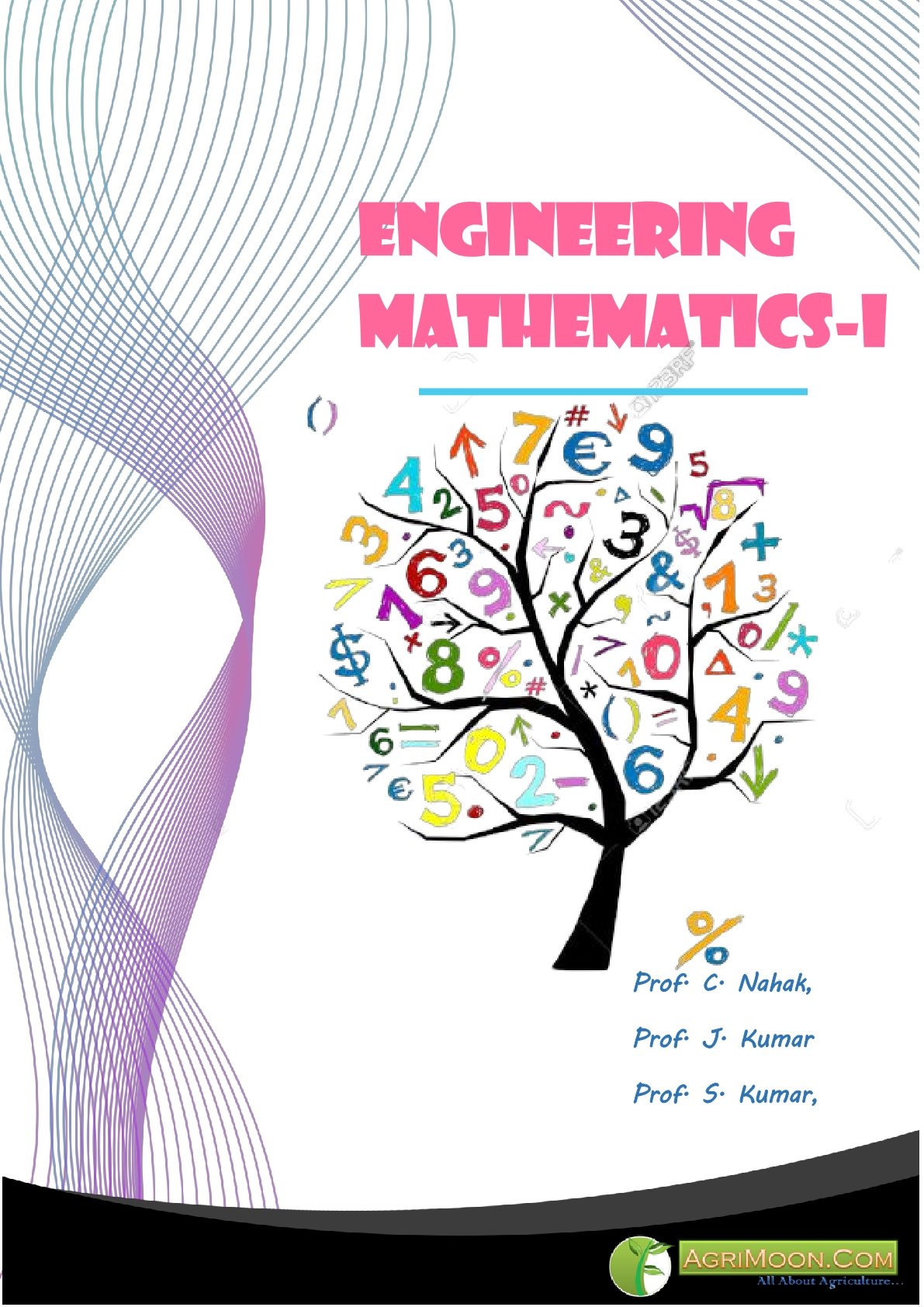 Engineering Mathematics 1 PDF Book AgriMoon