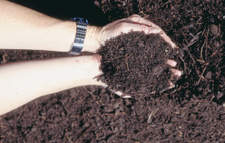 Soil Organic Carbon - AgriMoon